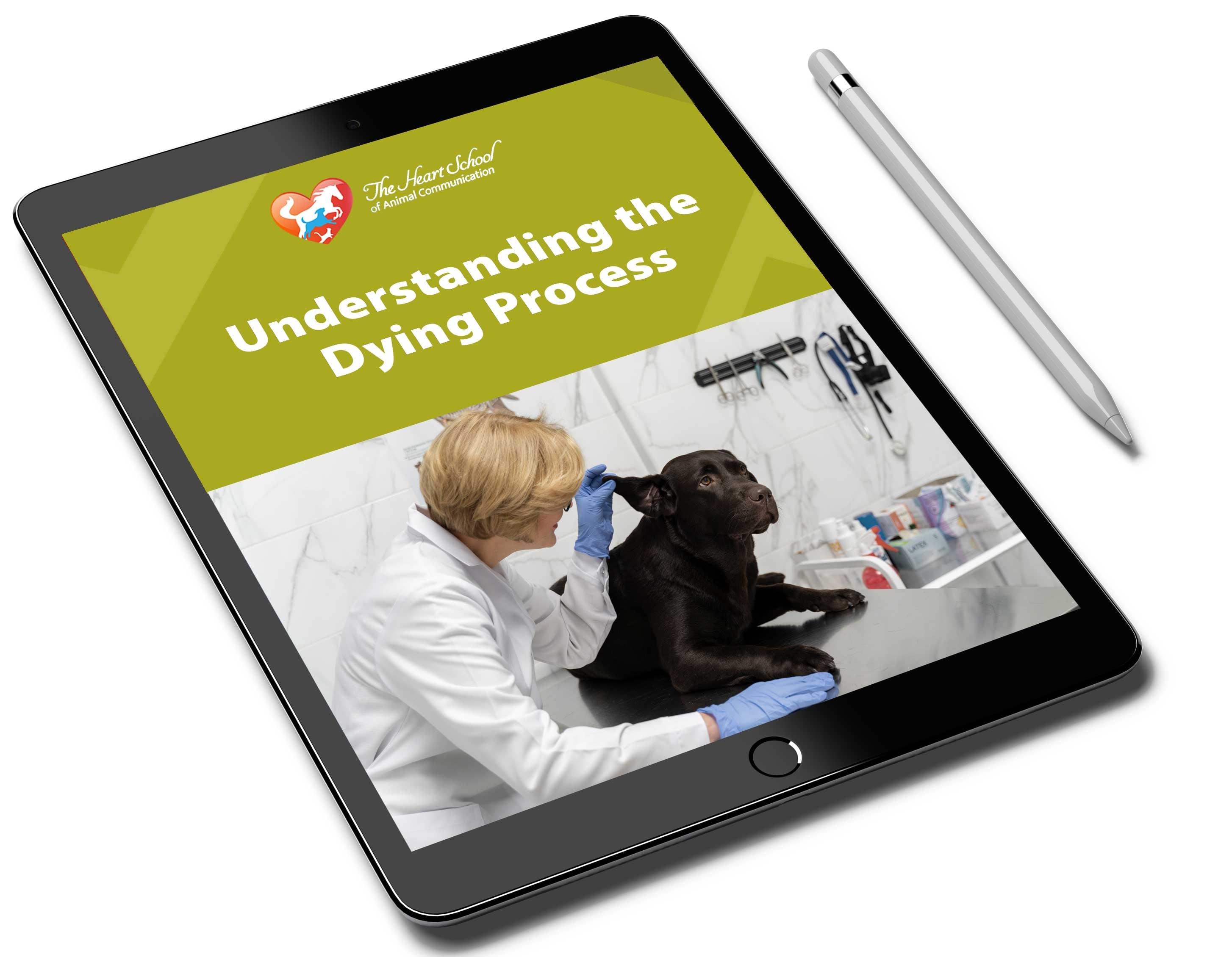 Essential Advanced Skills Training on Transitions, Animals in Spirit ...