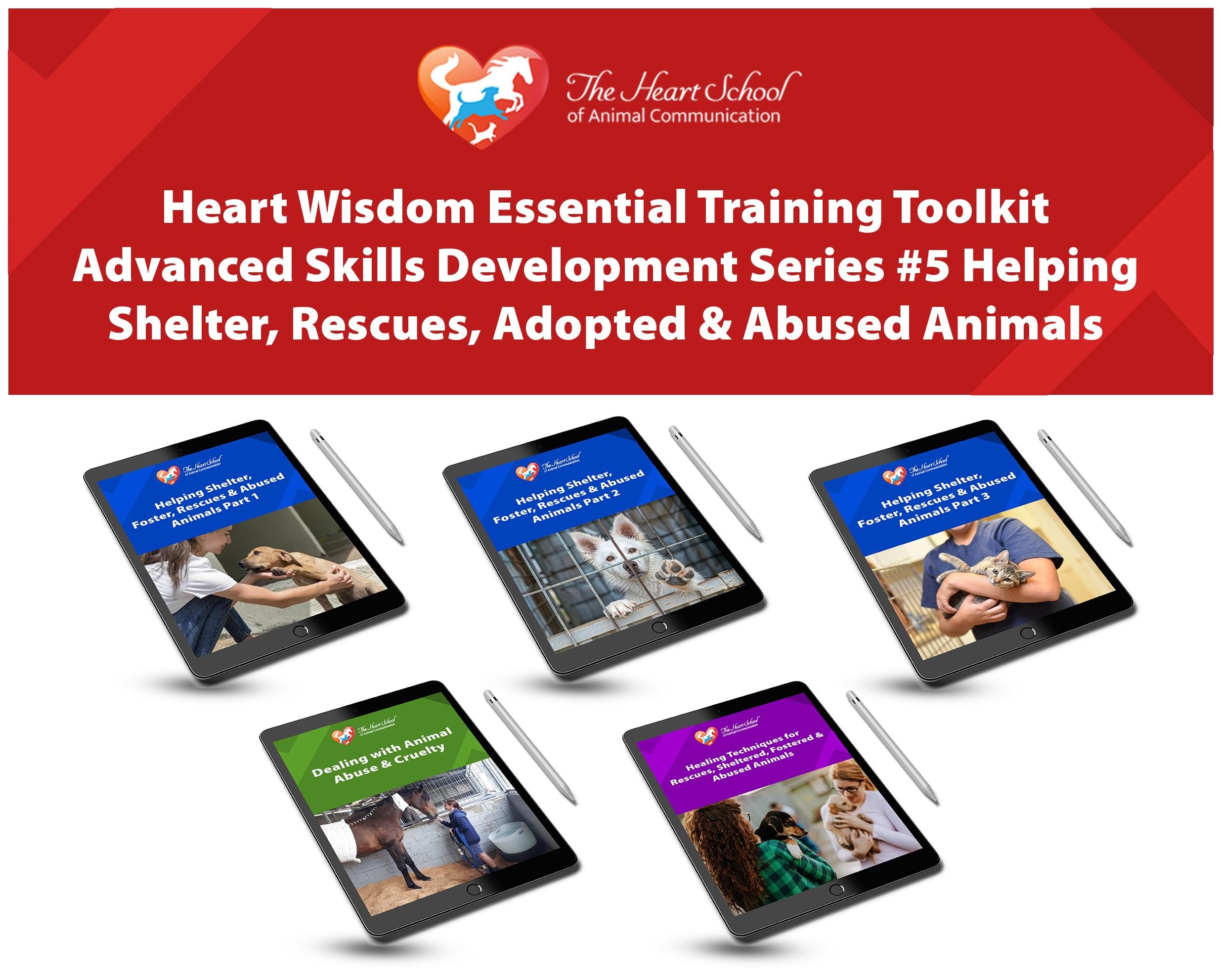 Heart Wisdom Adv Skills Development Training - Helping Shelter, Rescues, Adopted & Abused Animals