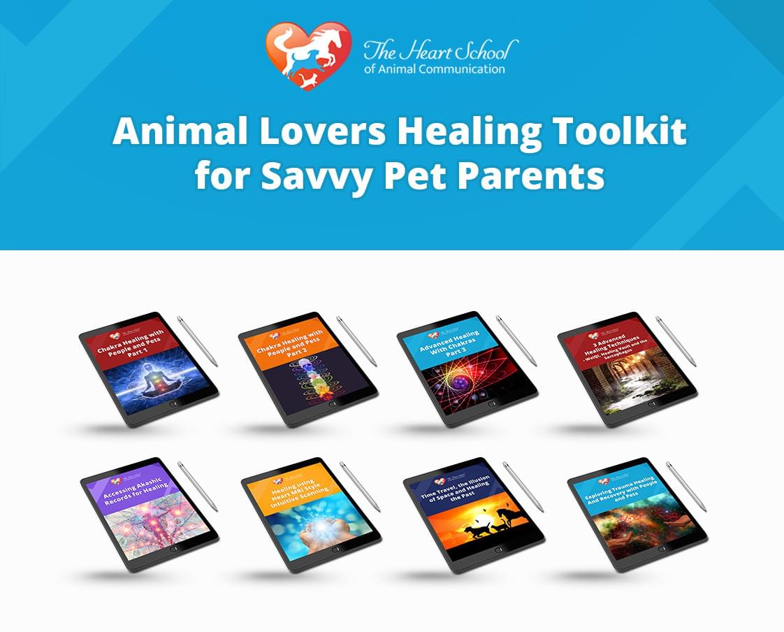 Animal Lovers Healing Toolkit for Savvy Pet Parents